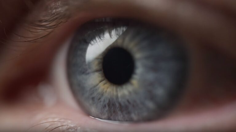 What is Retinal Disparity: Seeing in 3D