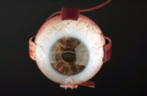 What is Retinal Disparity: Seeing in 3D